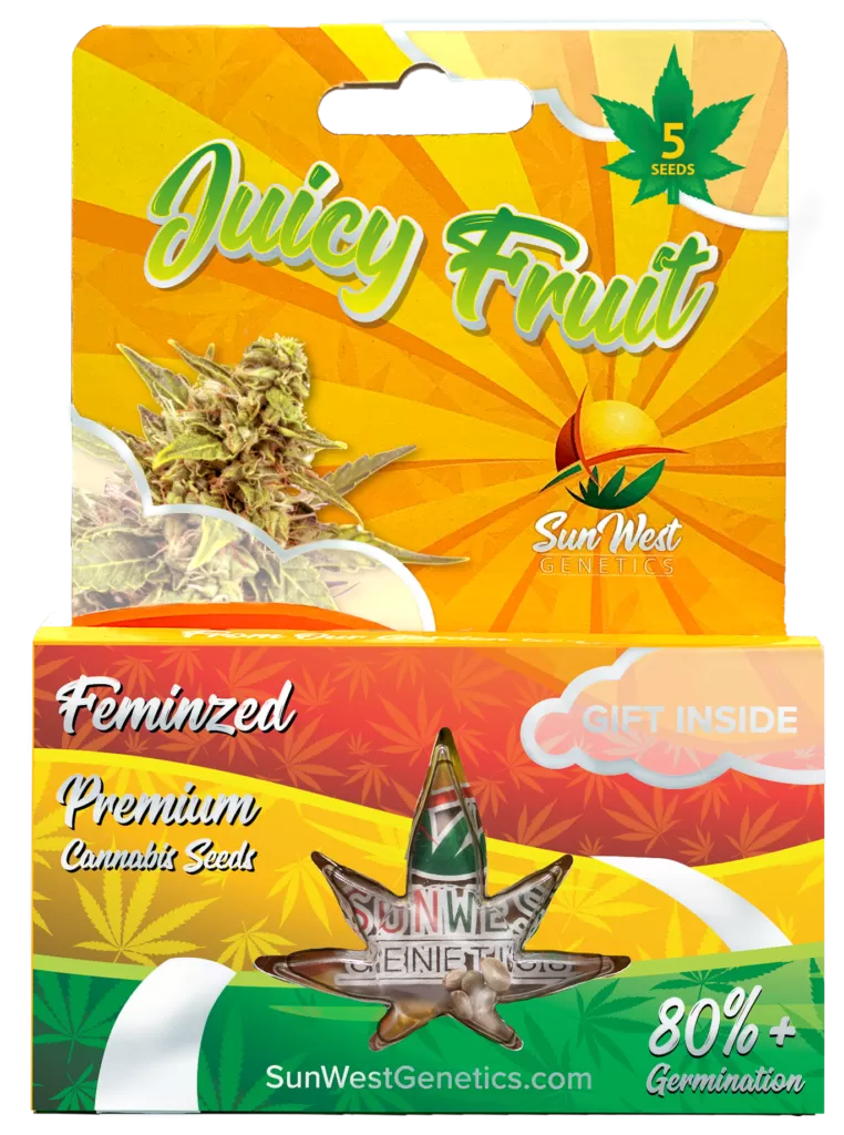 Juicy Fruit Strain Feminized Cannabis Seeds by Sunwest Genetics Juicy Fruit Strain Feminized Cannabis Seeds by Sunwest Genetics